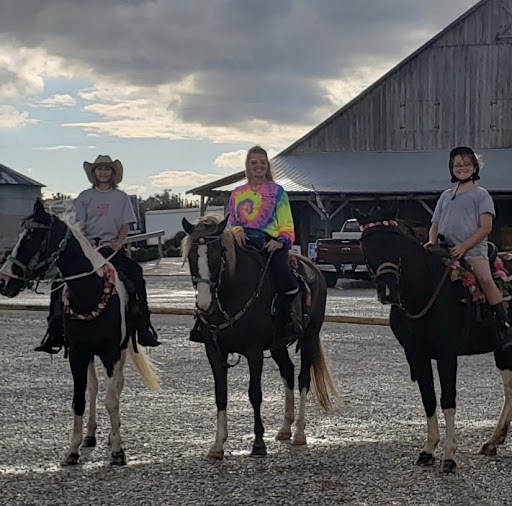 City Ranch, LLC | Ride The Horse