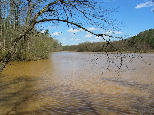 Hiking Area «Gold Branch Trail», reviews and photos, 6156 Lower Roswell ...