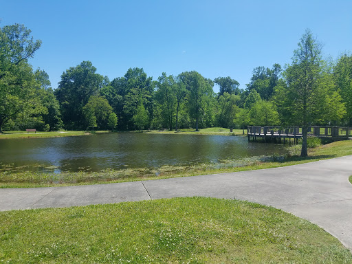 Forest Community Park - AZexplained