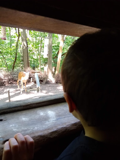 Nature Preserve «Iowa Raptor Center», reviews and photos, 2095 Mehaffey ...