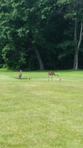 Golf Course «Ironwood Golf Course», reviews and photos, 6902 E Highland ...