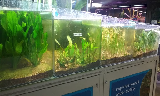 Tropical Fish Store «Fish Den Inc.», reviews and photos, 5055 W 44th ...
