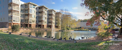 Carolina Village - AZexplained