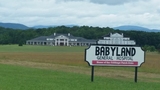 Toy Store «Babyland General Hospital», reviews and photos, 300 NOK Dr ...