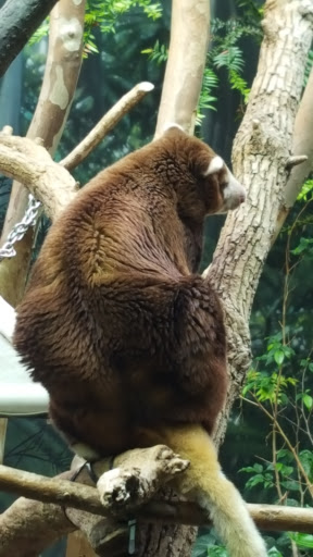 Tourist Attraction «Cleveland Zoo Train Station», reviews and photos ...