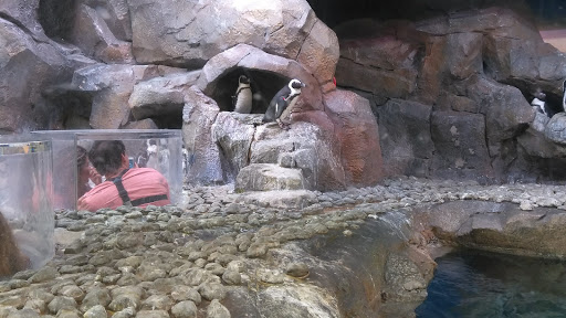 Tourist Attraction «Pemberton Place», reviews and photos, 126 Ivan ...