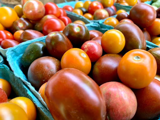 Elmwood Stock Farm - AZexplained