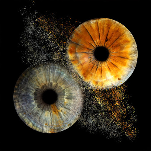 789 avis sur Iris Galerie Paris Saint-Louis (Photographe) à Paris (Île ...