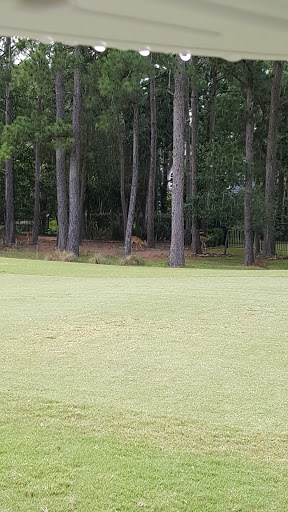 Golf Club «High Meadow Ranch Golf Club», reviews and photos, 37300 Golf ...