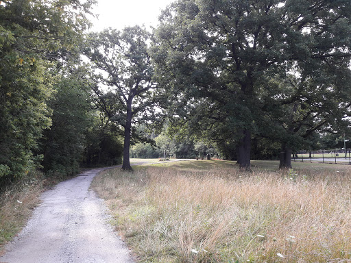 Golf Course «Edgebrook Golf Course», reviews and photos, 6100 N Central ...