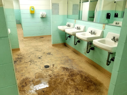 Bobby Hicks Pool in South Tampa, Tampa, Florida - Zaubee