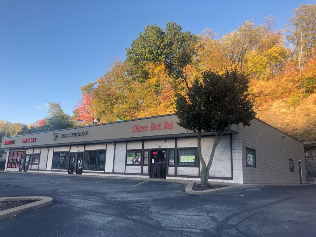 Chinese Back Rub - Pittsburgh, PA 15237 - Services and Reviews