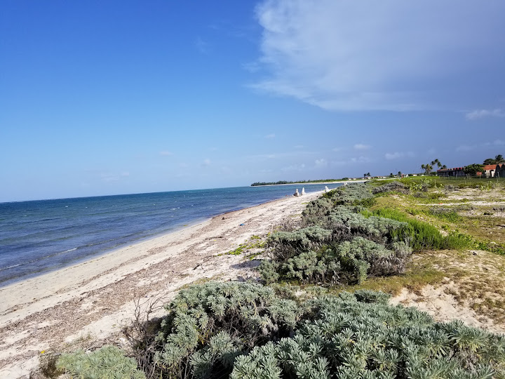 Playa Punta De Ganado 🏖️ Punta de Ganado, Camagüey, Cuba ...