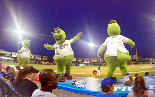 Stadium «Constellation Field», reviews and photos, 1 Stadium Dr, Sugar ...