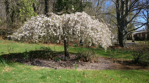 Park «Pardee Rose Gardens», reviews and photos, 180 Park Rd, Hamden, CT ...