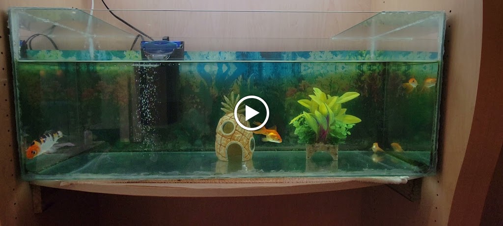 Relaxation Station - Spartanburg, SC 29301 - Services and Reviews