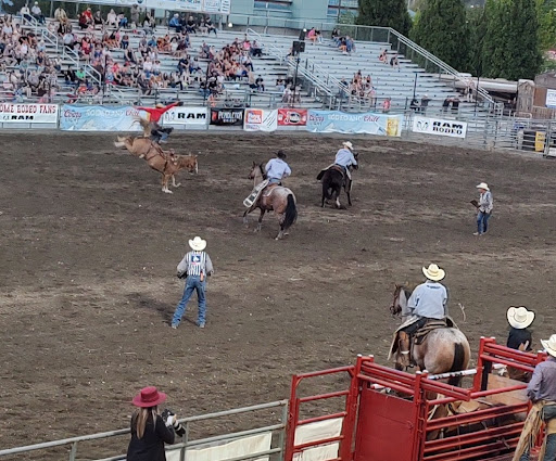 Fairground «Kitsap County Fairgrounds», reviews and photos, 1200 ...