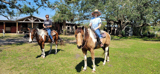 Branded Heart Stables | Ride The Horse