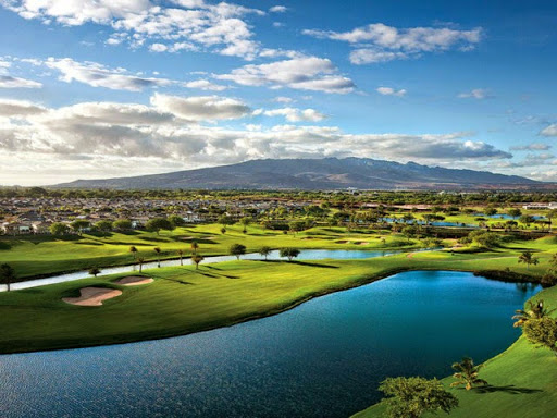 Hawaii Property Development Realty - AZexplained