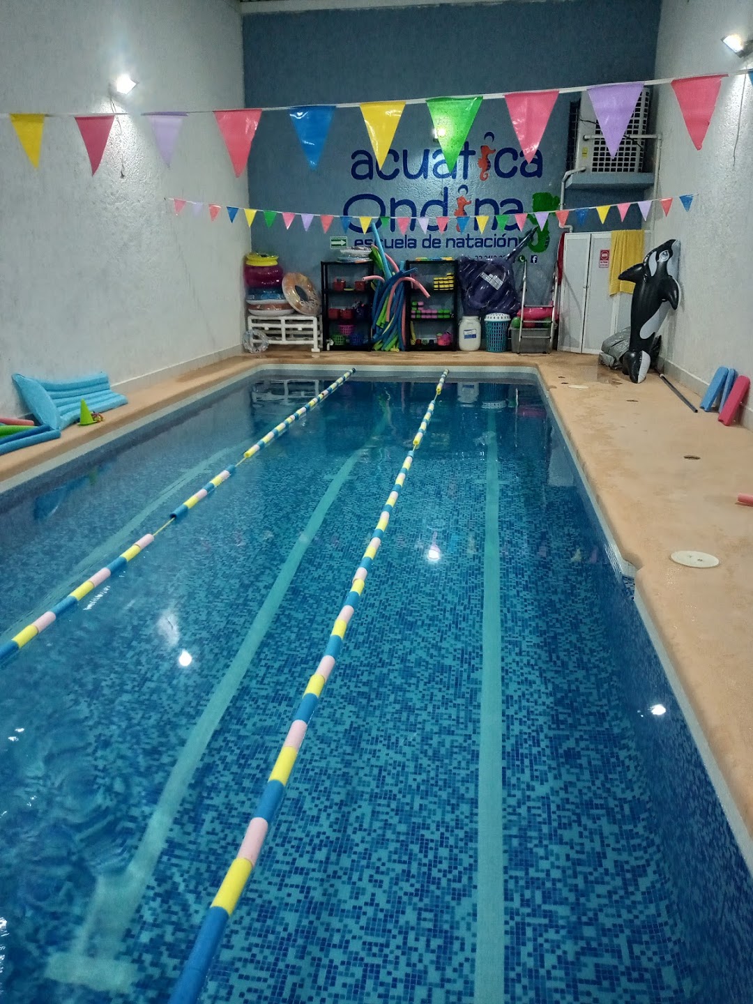 Escuela de natacion acuatica ondina en la ciudad Tonalá