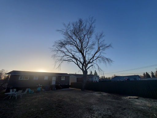 TreeO'Sticks - Tree Service