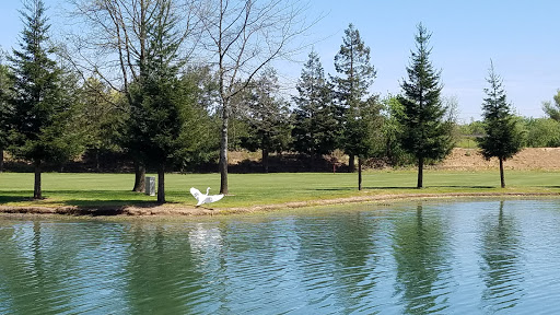 Golf Course «Emerald Lakes Golf Course», reviews and photos, 10651 E ...