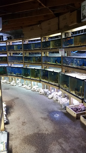 Tropical Fish Store «Austin Aqua-Dome», reviews and photos, 1604 ...