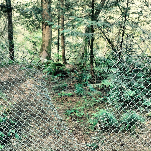 American Football Field «Doc Harris Stadium», reviews and photos, 1125 ...