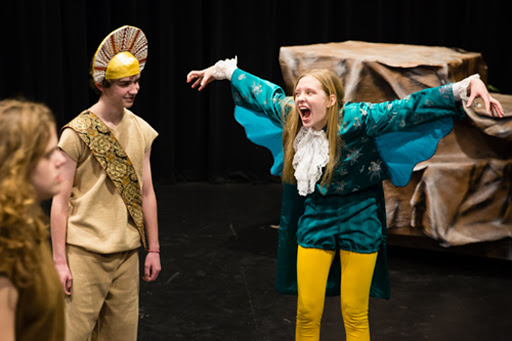 Performing Arts Theater «Reif Performing Arts Center», reviews and ...