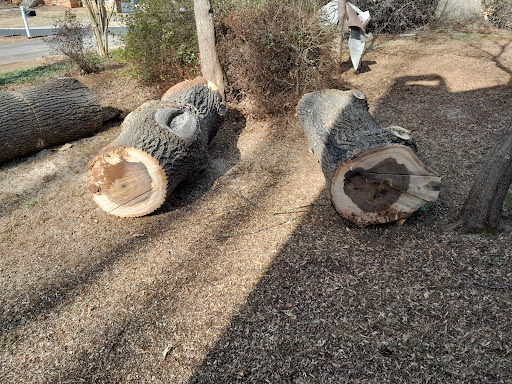 Tree Service in Decatur, GA | Tree Trimming & Removal