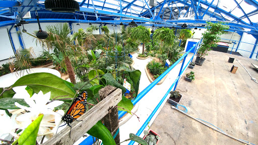 Museum «Philadelphia Insectarium and Butterfly Pavilion», reviews and ...