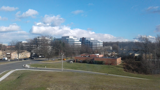 Community Center «Merrifield Center CSB», reviews and photos, 8221 ...