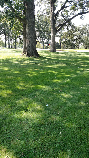 Golf Course «Deerpath Golf Course», reviews and photos, 500 W Deerpath ...