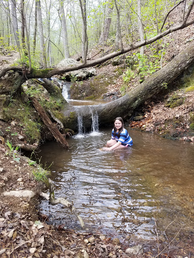Lake Catherine State Park - AZexplained