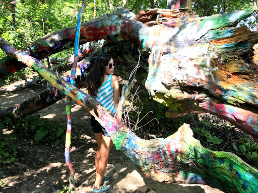 Hippie Tree in Traverse City, Michigan - Zaubee