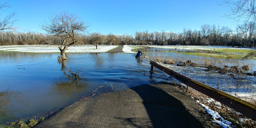 Escape To The Enchanting Woods: Your Guide To New York's Amherst State Park