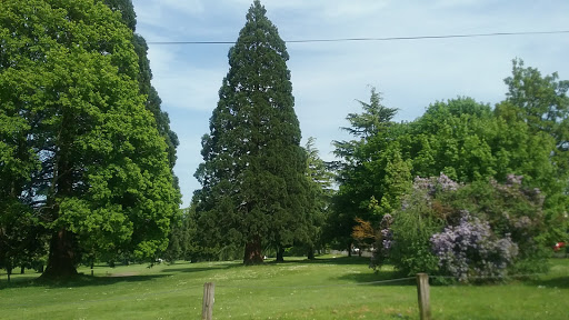 Golf Course «Rose City Golf Course», reviews and photos, 2200 NE 71st ...