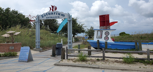 Alabama Aquarium at the Dauphin Island Sea Lab - AZexplained