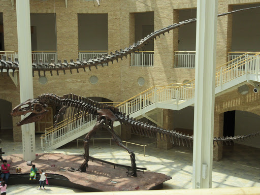 Planetarium «Fernbank Science Center», reviews and photos, 156 Heaton ...