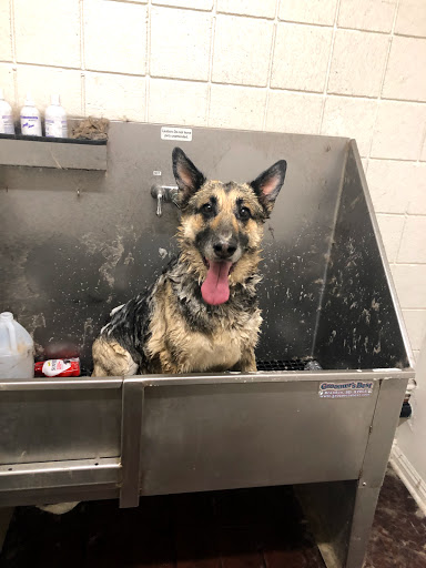 VIP Dog Grooming - Locations from All Over the World