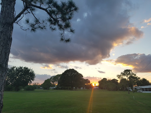 Public Golf Course «Mainlands Golf Course», reviews and photos, 9445 ...