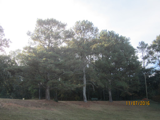 Park «Alexander Park», reviews and photos, 300 Atlanta St, McDonough ...