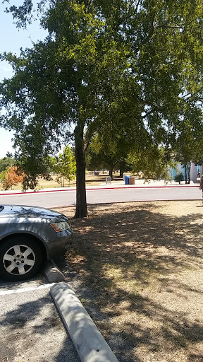 Dove Springs Pool in McKinney, Austin, Texas - Zaubee