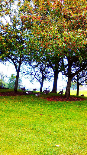 Golf Course «Links At Carillon Golf Course», reviews and photos, 21200 ...