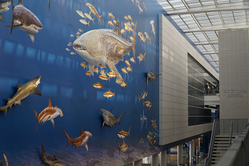 Arena «The Rick Case Arena at the Don Taft University Center», reviews ...