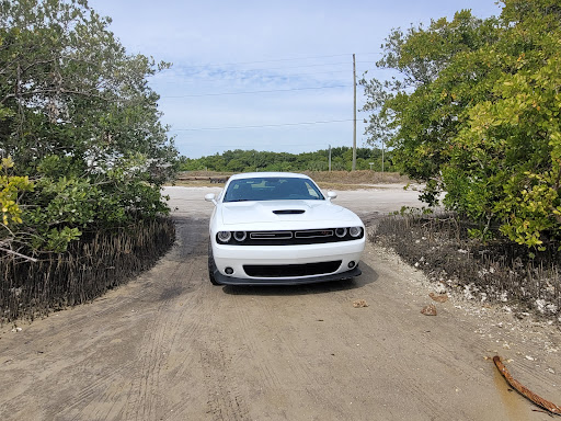 Gandy Beach Mangroves - 13498 Gandy Blvd N, St. Petersburg, Florida ...