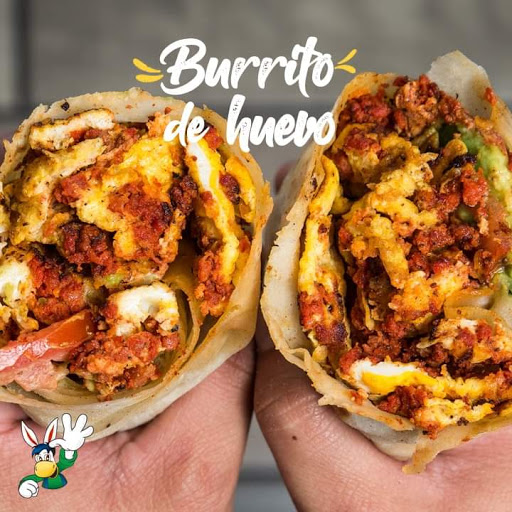 El Burro Percheron Ejido Matamoros en Tijuana - Número de Teléfono ...