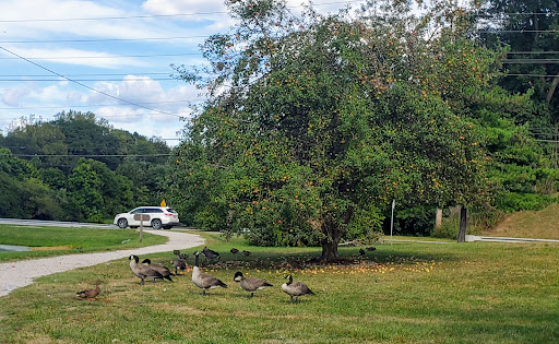 Park «Craig Park», reviews and photos, 2013 W County Rd 950 N, Brazil ...