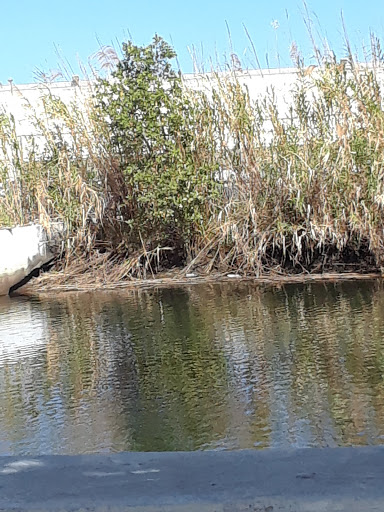 Park «Griffing Park», reviews and photos, 12220 Griffing Blvd, North ...