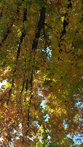 Park «Travers Park», reviews and photos, 76-9 34th Ave, Jackson Heights ...